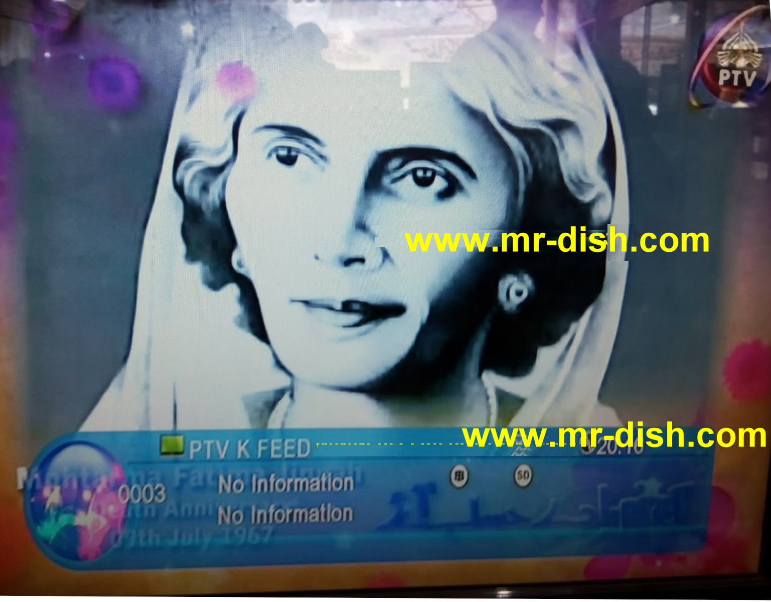 Untitled - 6 - Mr-Dish